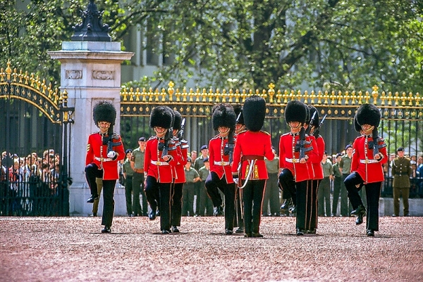 The Changing the Guard at Buckingham Palace - Nawas Travel